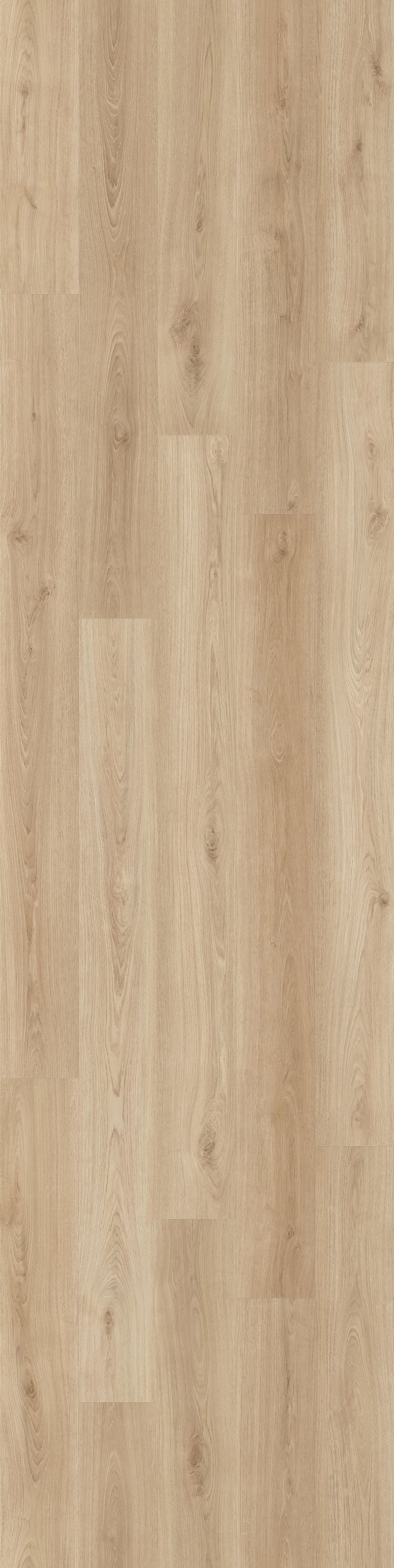 416RGO Regal Oak – Resolve Flooring