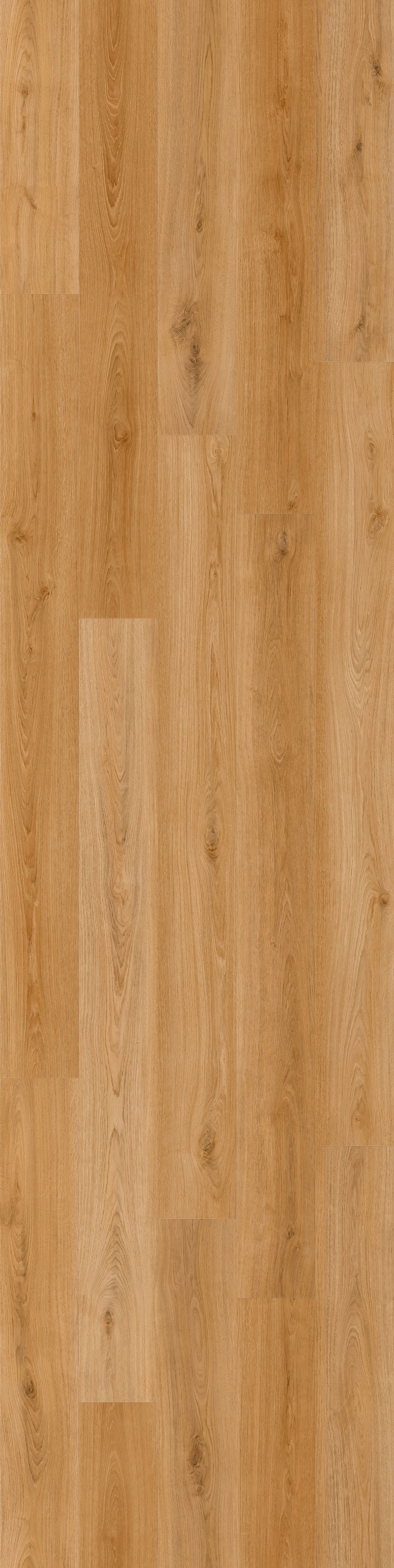 416RYO Royal Oak – Resolve Flooring